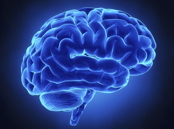 Memoria Implícita y Memoria Explícita - Estr@tegia Magazine